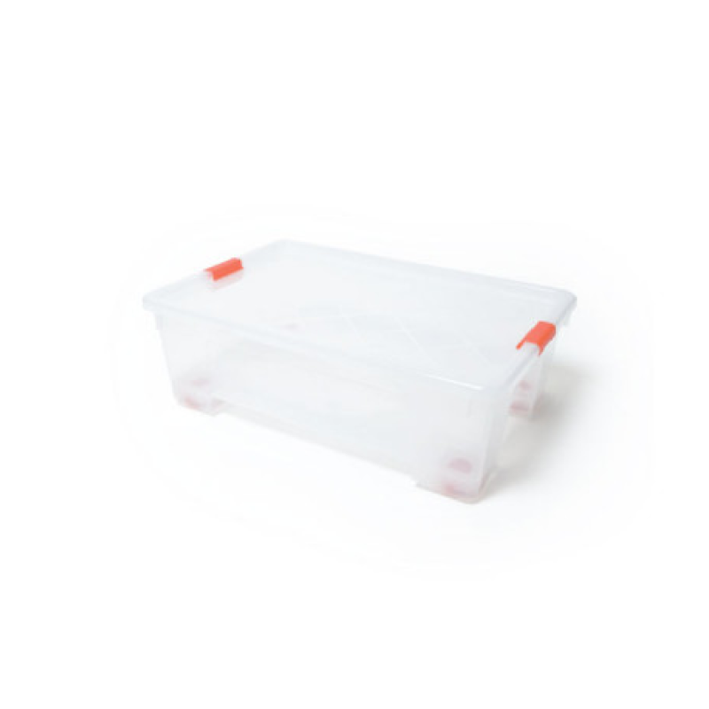 Phoenix 30L Storage Box - Best Price Online with Door-step Delivery
